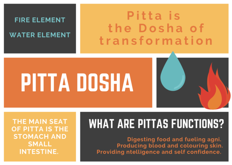 how the Pitta Dosha works in your body - Ayurveda for Beginners