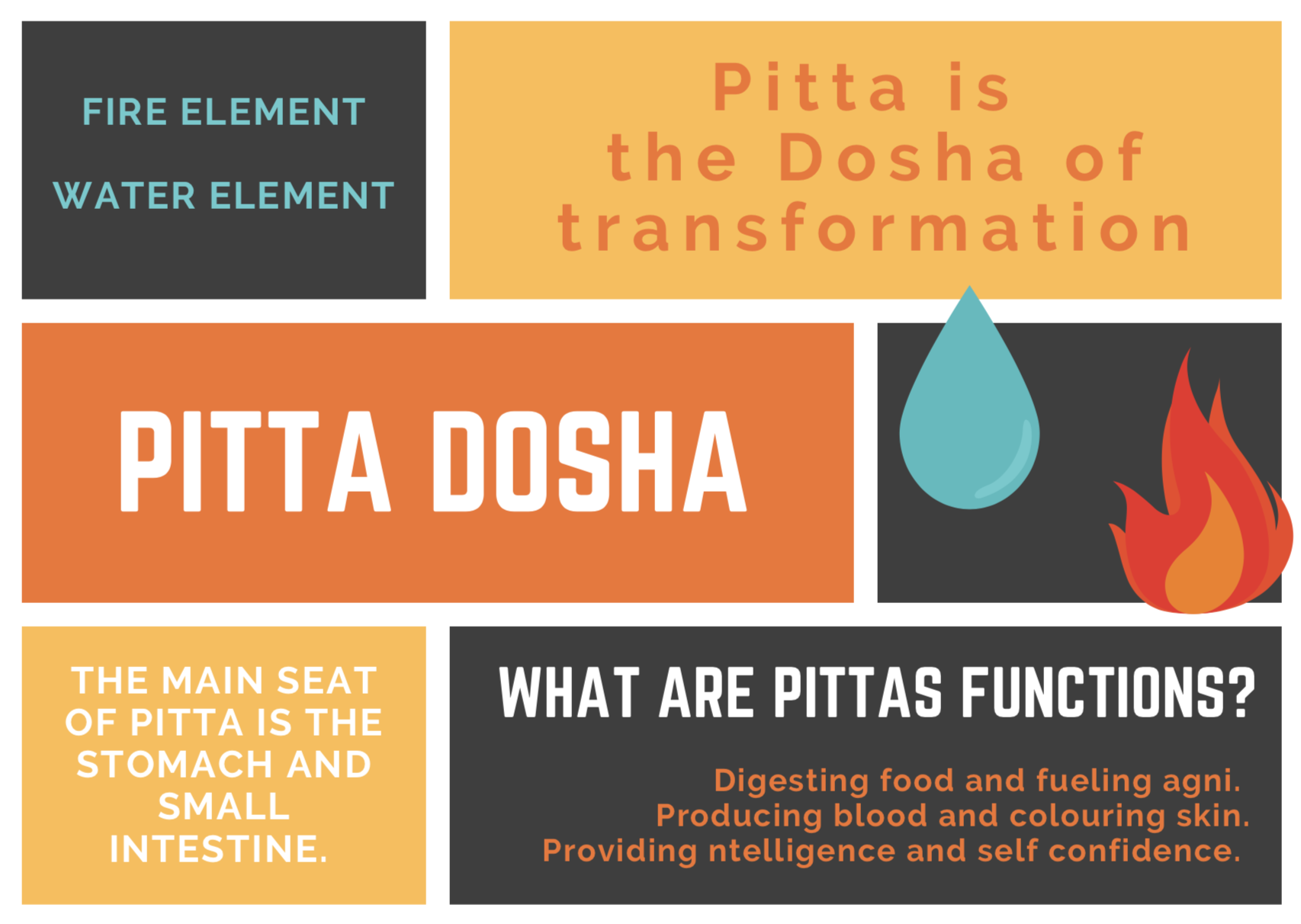 how the Pitta Dosha works in your body - Ayurveda for Beginners