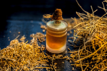 8 Key Shankhpushpi Benefits - Ayurveda for Beginners