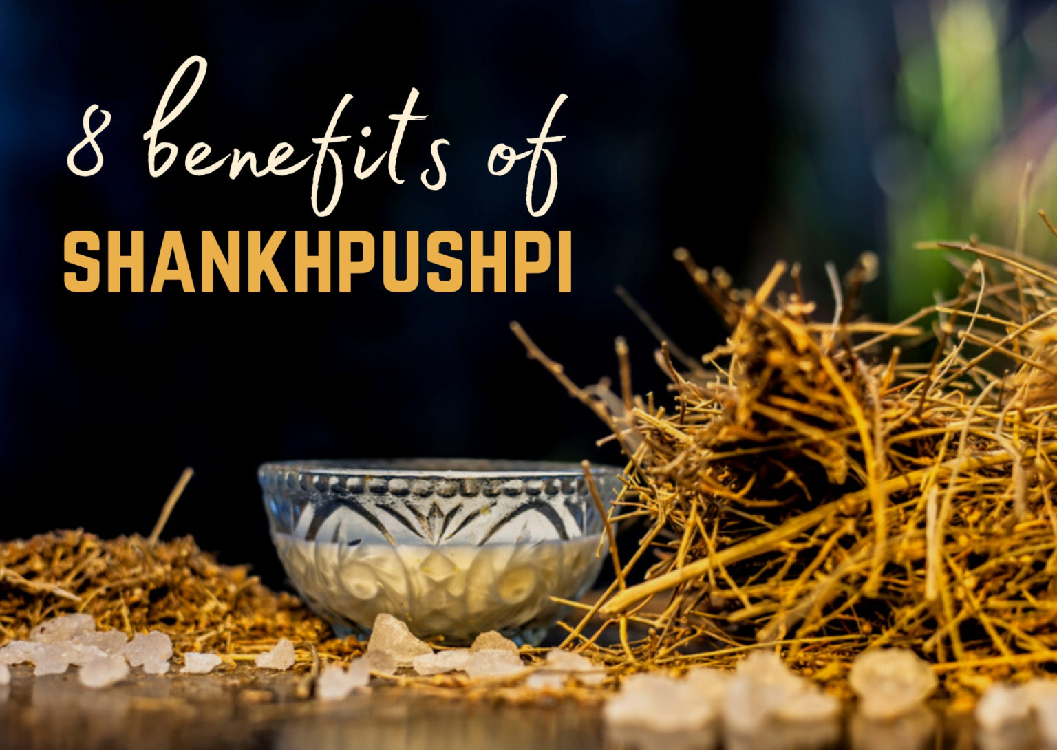 8 Key Shankhpushpi Benefits - Ayurveda for Beginners