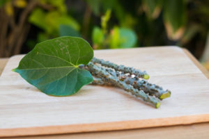 How to use guduchi powder - Ayurveda for Beginners