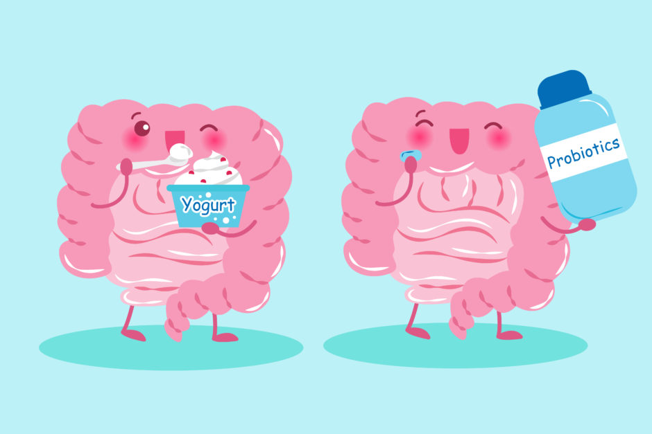 What happens when you stop taking probiotics? - Ayurveda for Beginners